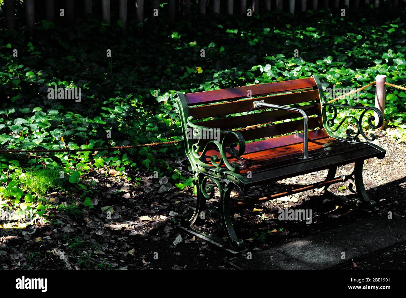 Landscaping sidewalk autumn hi-res stock photography and images - Alamy