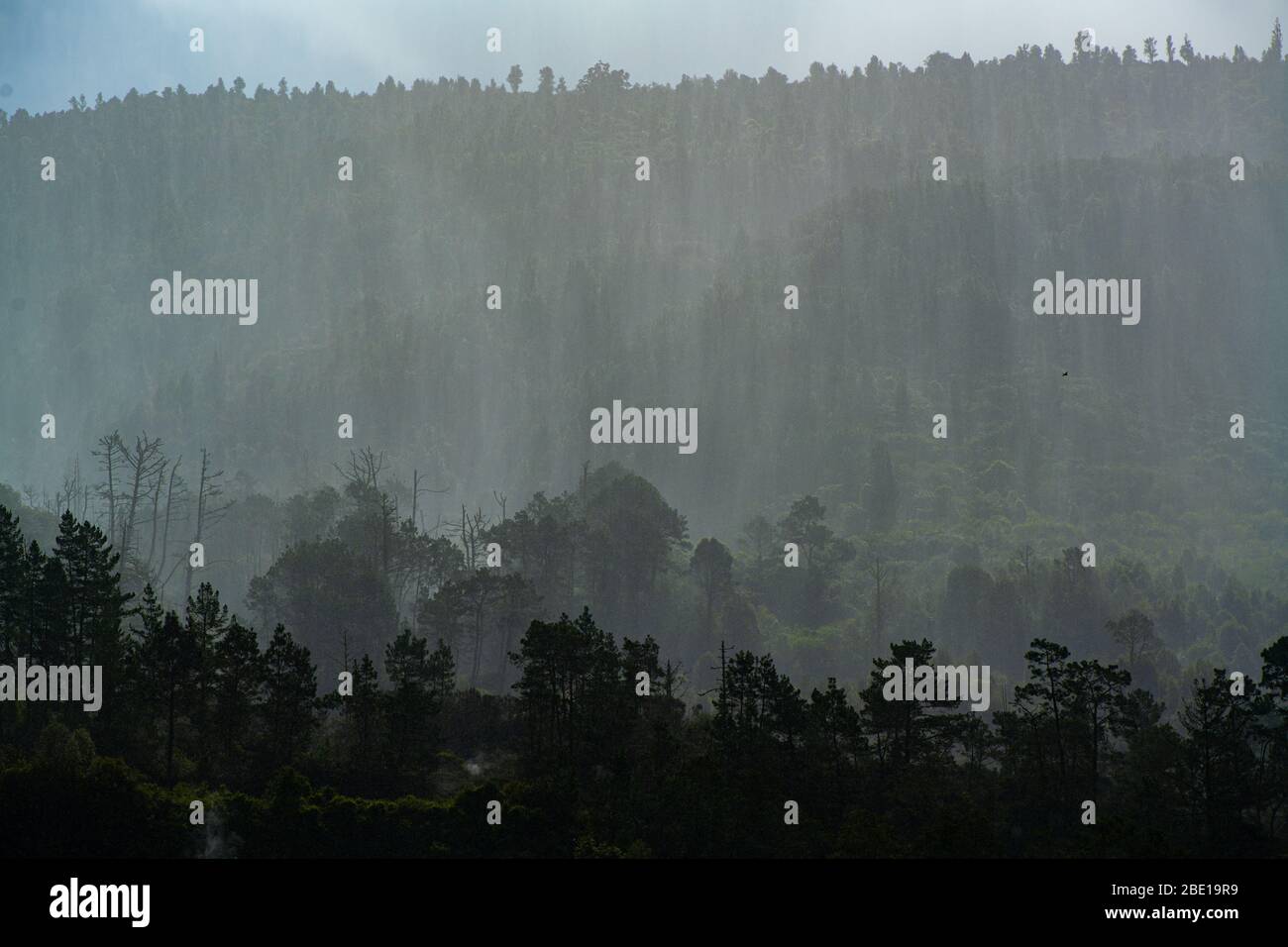 Rain over forest mountains. Misty mountain landscape hills at rainy day ...