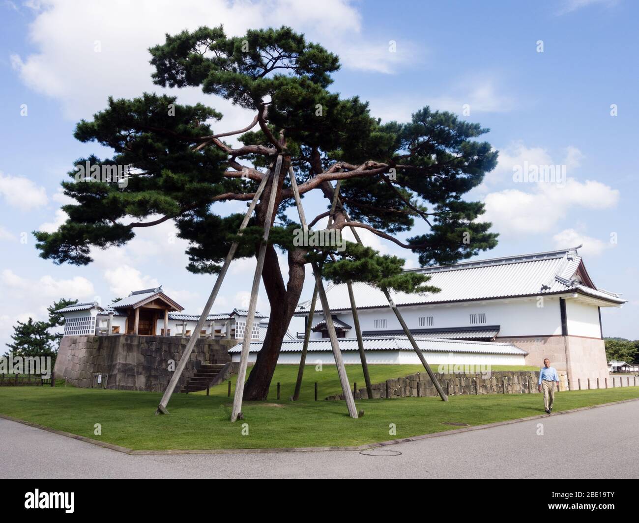 Tree support japan hi-res stock photography and images - Alamy