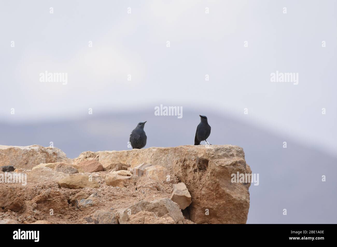 Rock catapults hi-res stock photography and images - Alamy