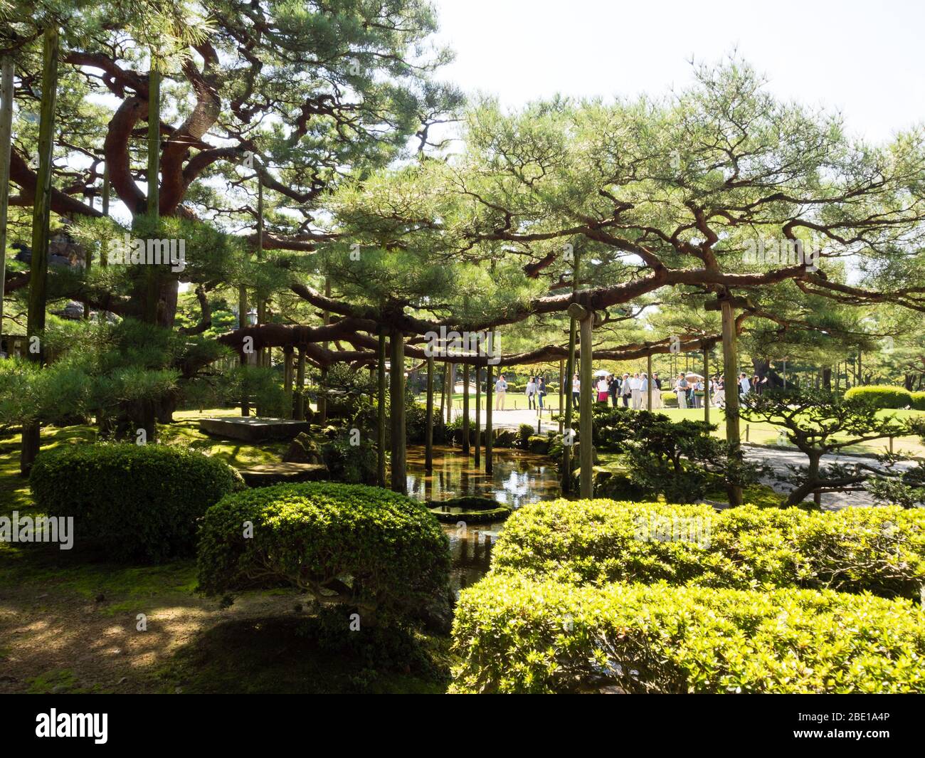 Tree support japan hi-res stock photography and images - Alamy