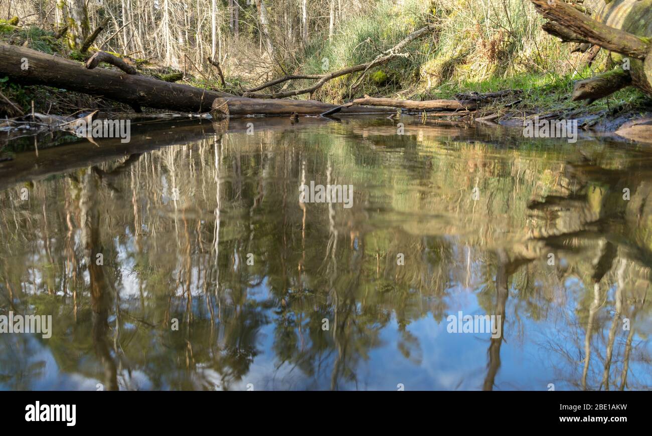 river view in early spring, dry grass and old reeds on river banks ...