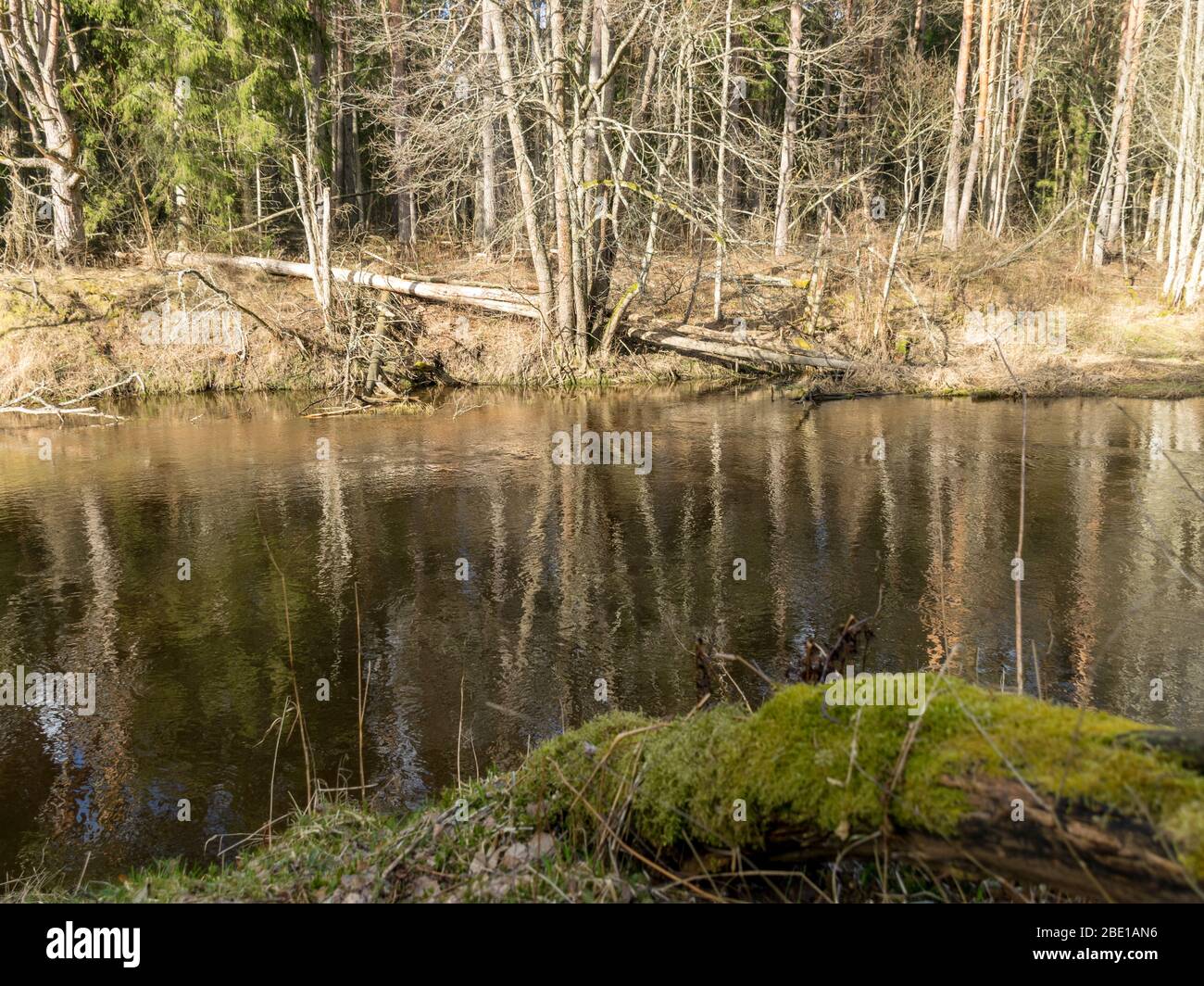 river view in early spring, dry grass and old reeds on river banks ...