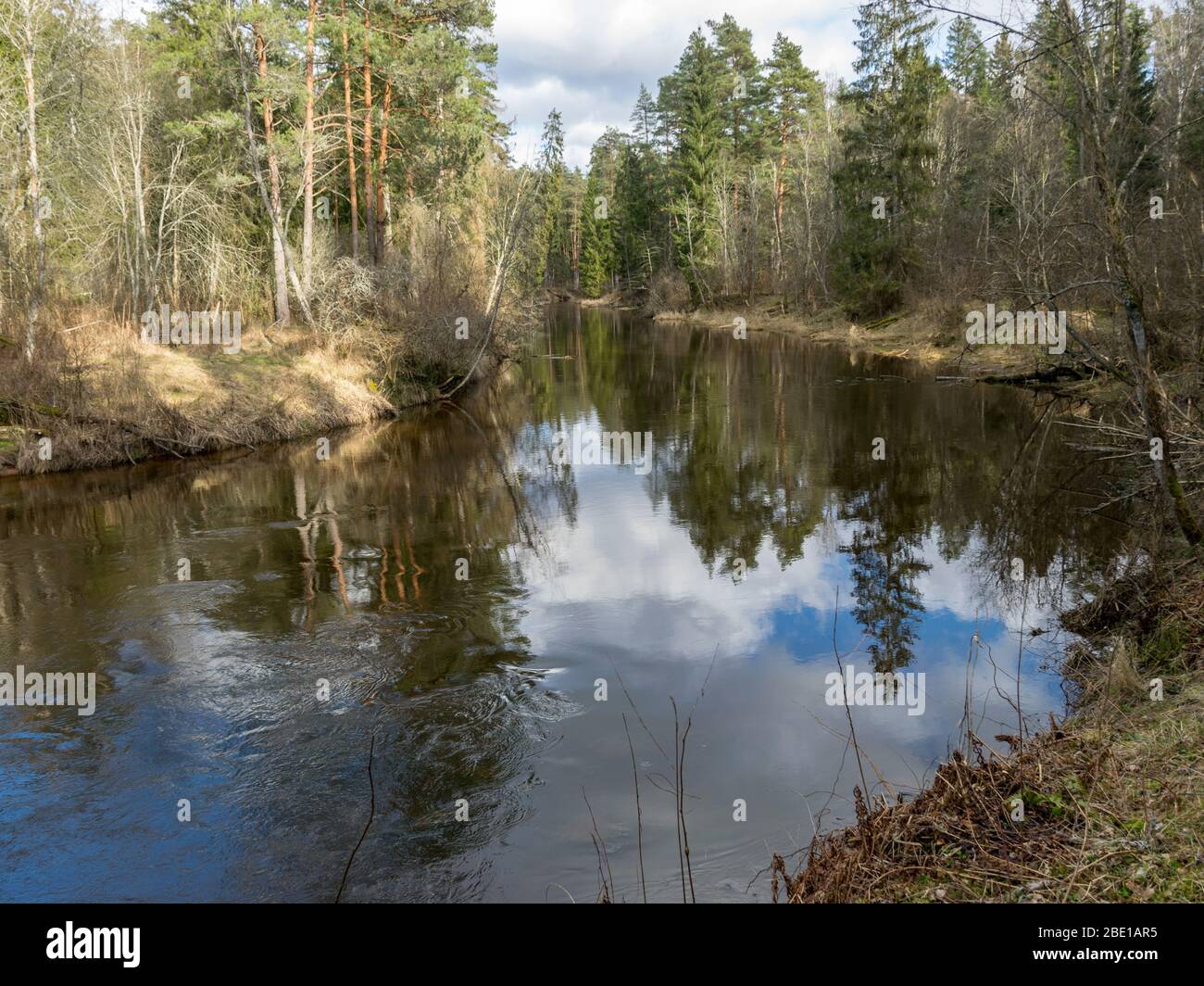 river view in early spring, dry grass and old reeds on river banks ...
