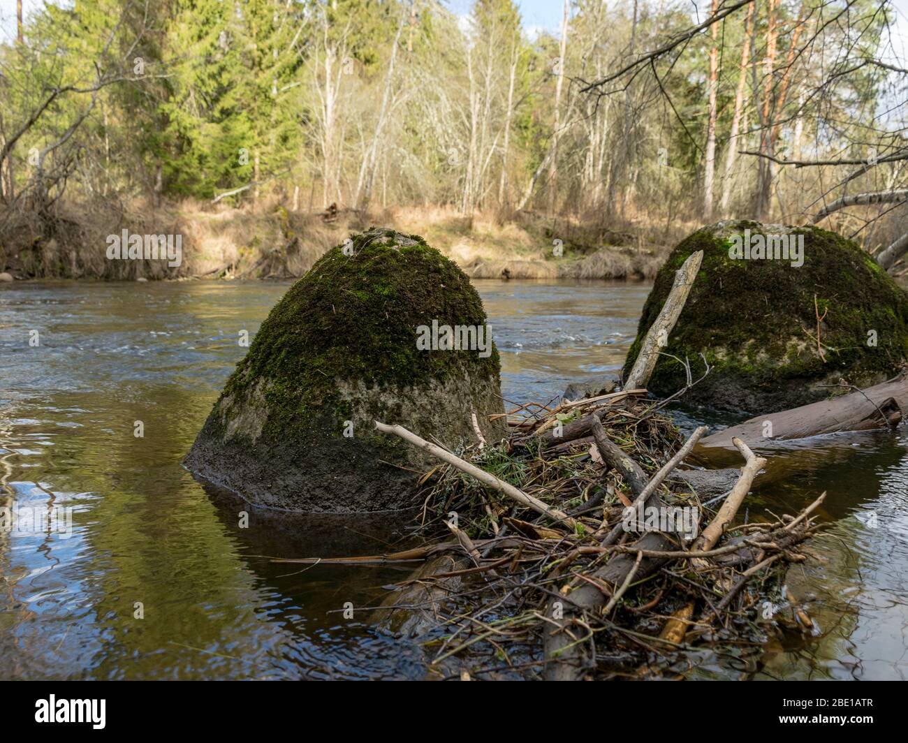 spring forest river rocks view, wild river rocks in spring forest ...