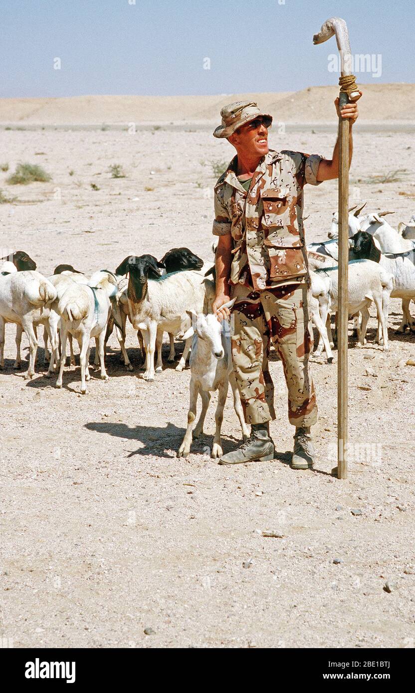Gifts of somali goats hi-res stock photography and images - Alamy