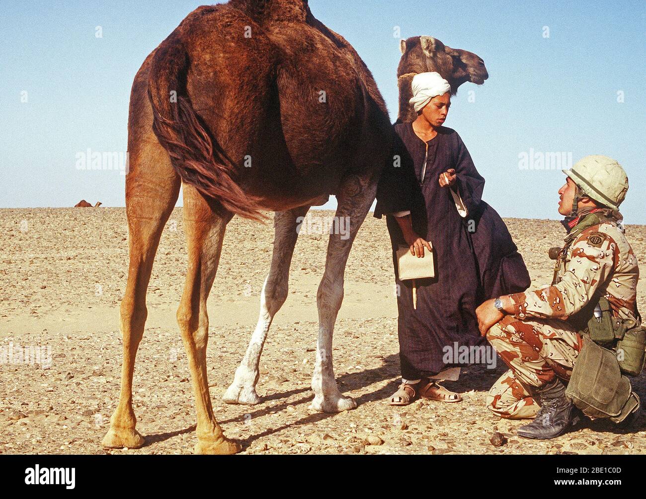 Camel Hump Day Soldiers