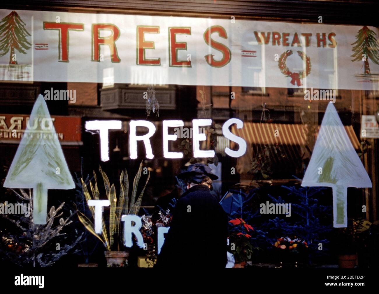 Christmas trees and wreaths in store window display 1941-1942 Stock ...