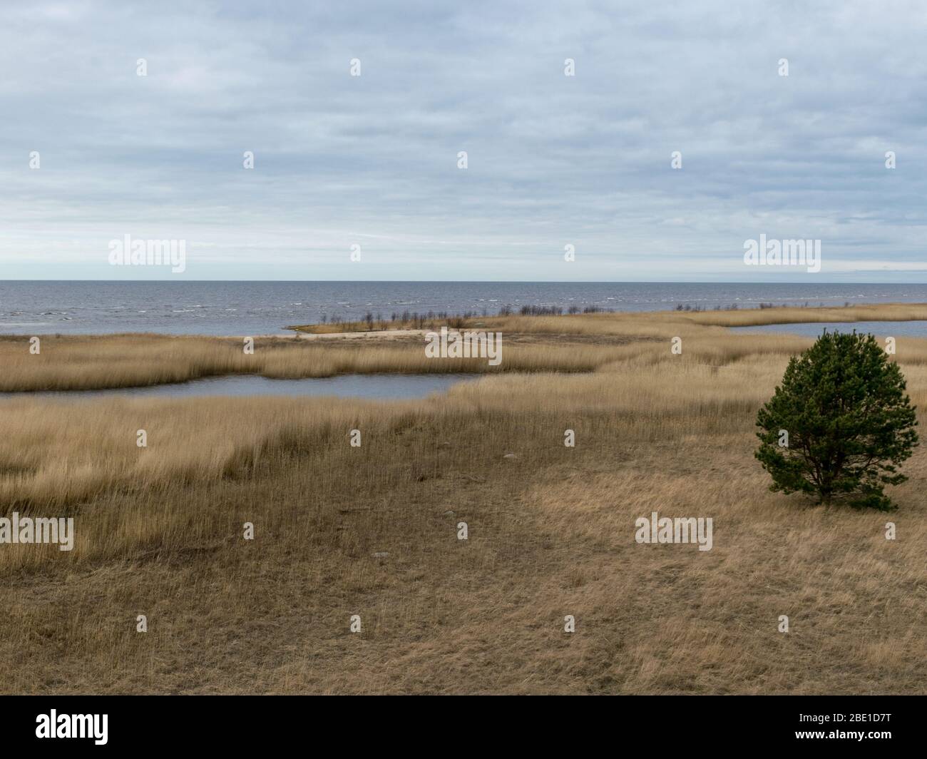 Seaside meadow hi-res stock photography and images - Alamy