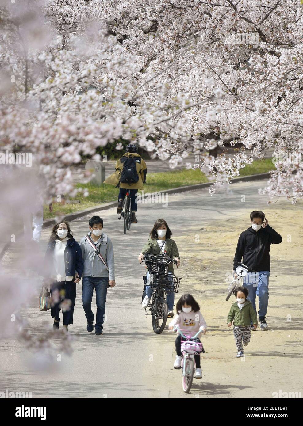 Osaka, Japan. 11th Apr, 2020. Mask-wearing people walk under cherry ...