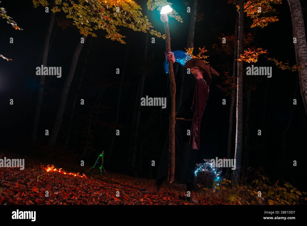 Sorcerer (magician) casting a spell while standing in the magical woods ...