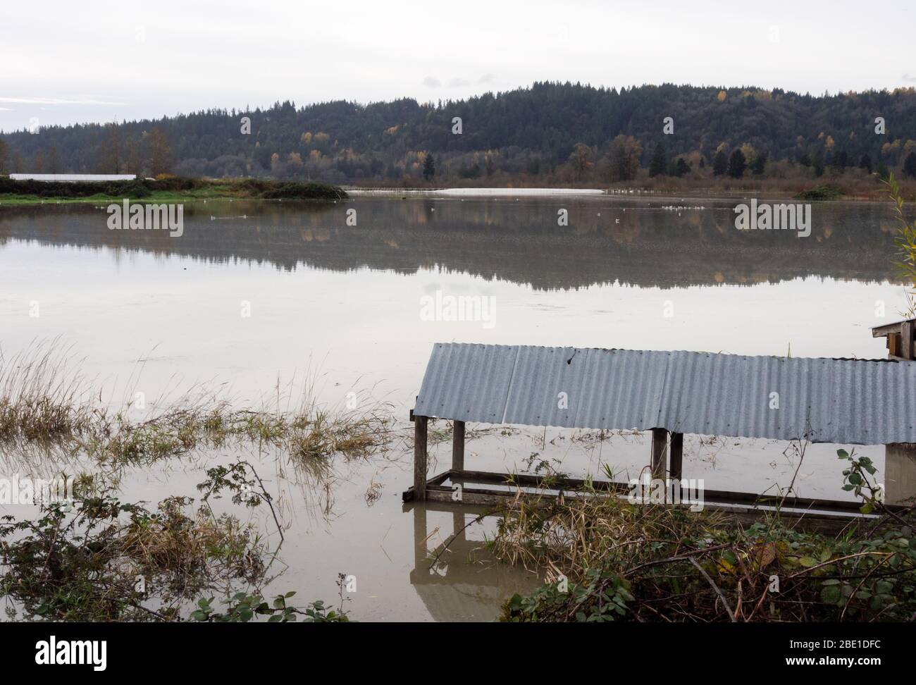 Snoqualmie river floods near the city of Duvall, farmlands and roads ...