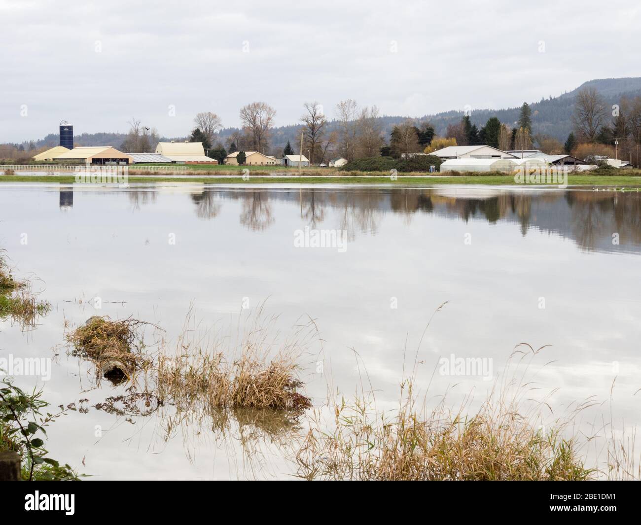 Snoqualmie river floods near the city of Duvall, farmlands and roads ...
