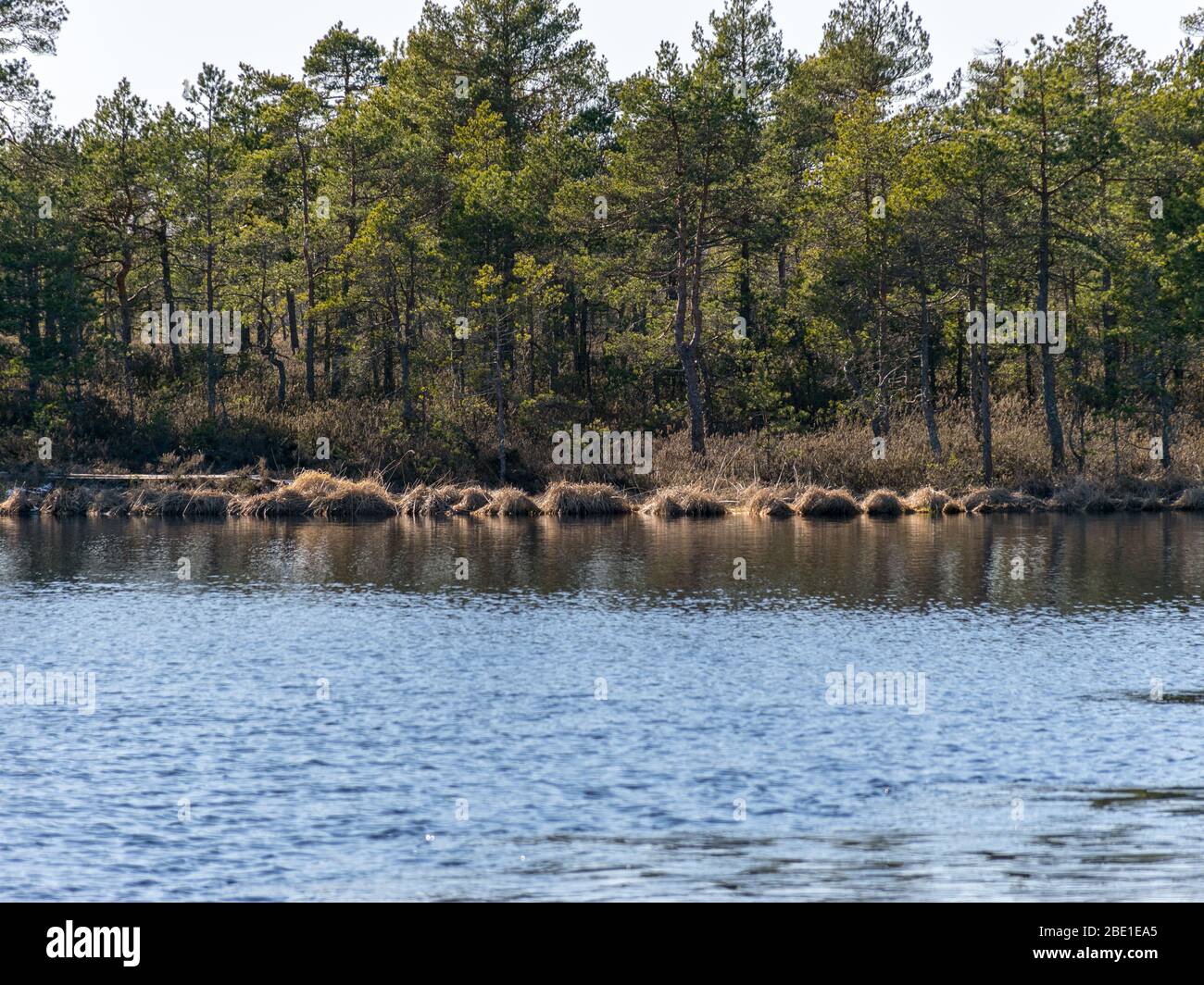 Purezers hi-res stock photography and images - Alamy