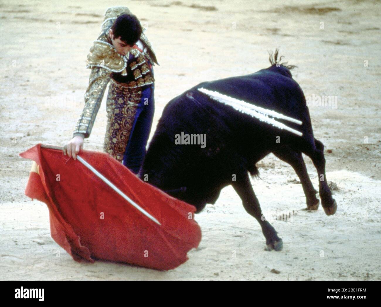 1980s bull fighting hi-res stock photography and images - Alamy