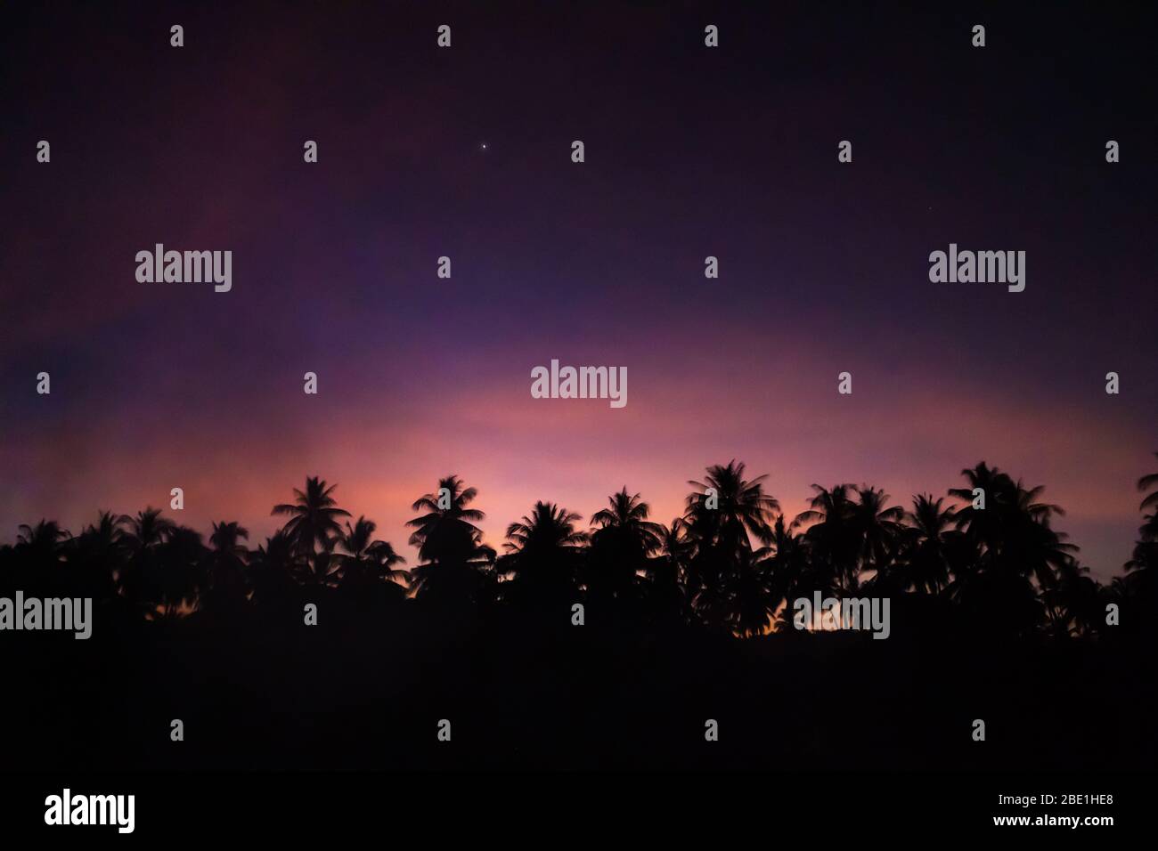 Smoke from a bonfire in a rainforest at sunset. Fires in the forest ...