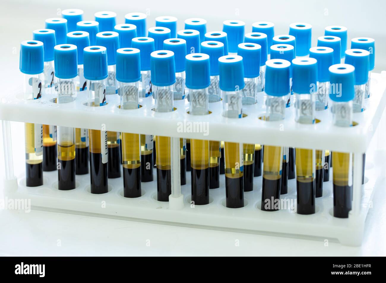 Steamcell hi-res stock photography and images - Alamy