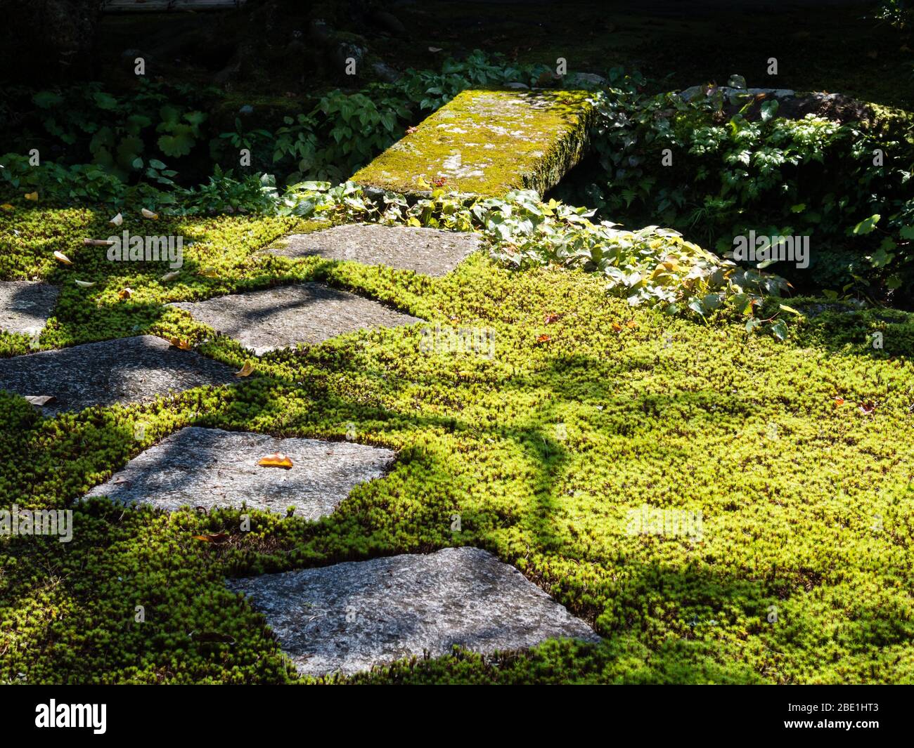 Japanese moss garden hi-res stock photography and images - Alamy