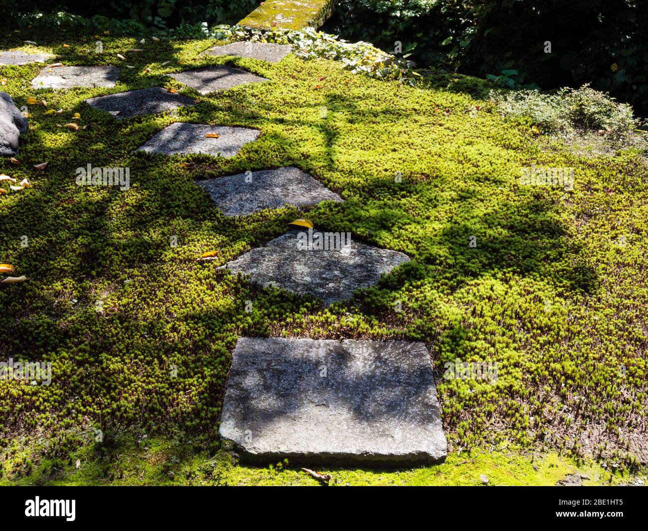 Stone path in traditional Japanese moss garden Stock Photo - Alamy