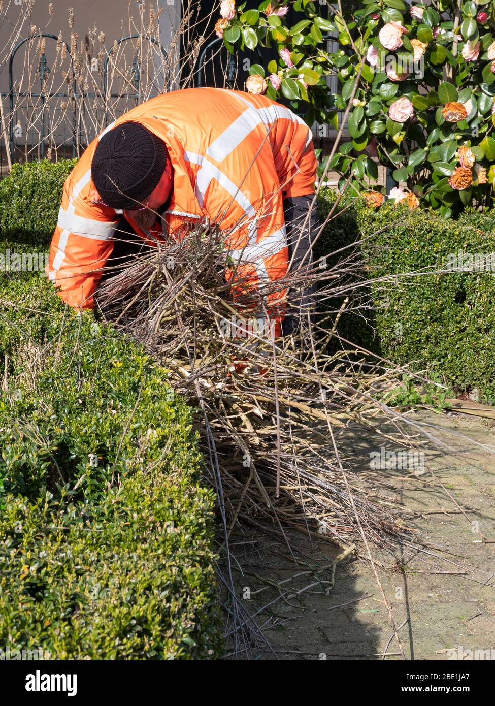 Branches Bushes Clearing Stock Photos & Branches Bushes Clearing Stock ...