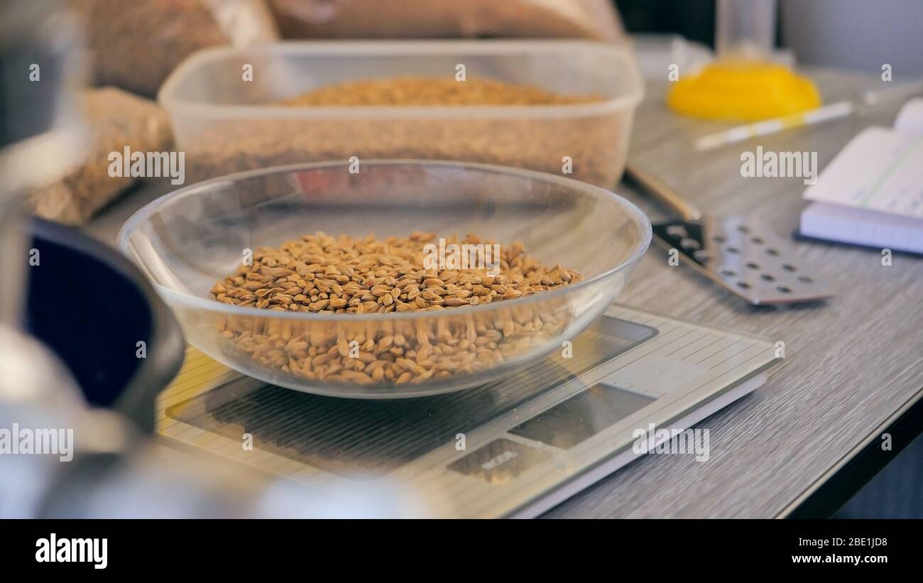 Measuring weight of the malt before we will crush the malt, homebrewing ...