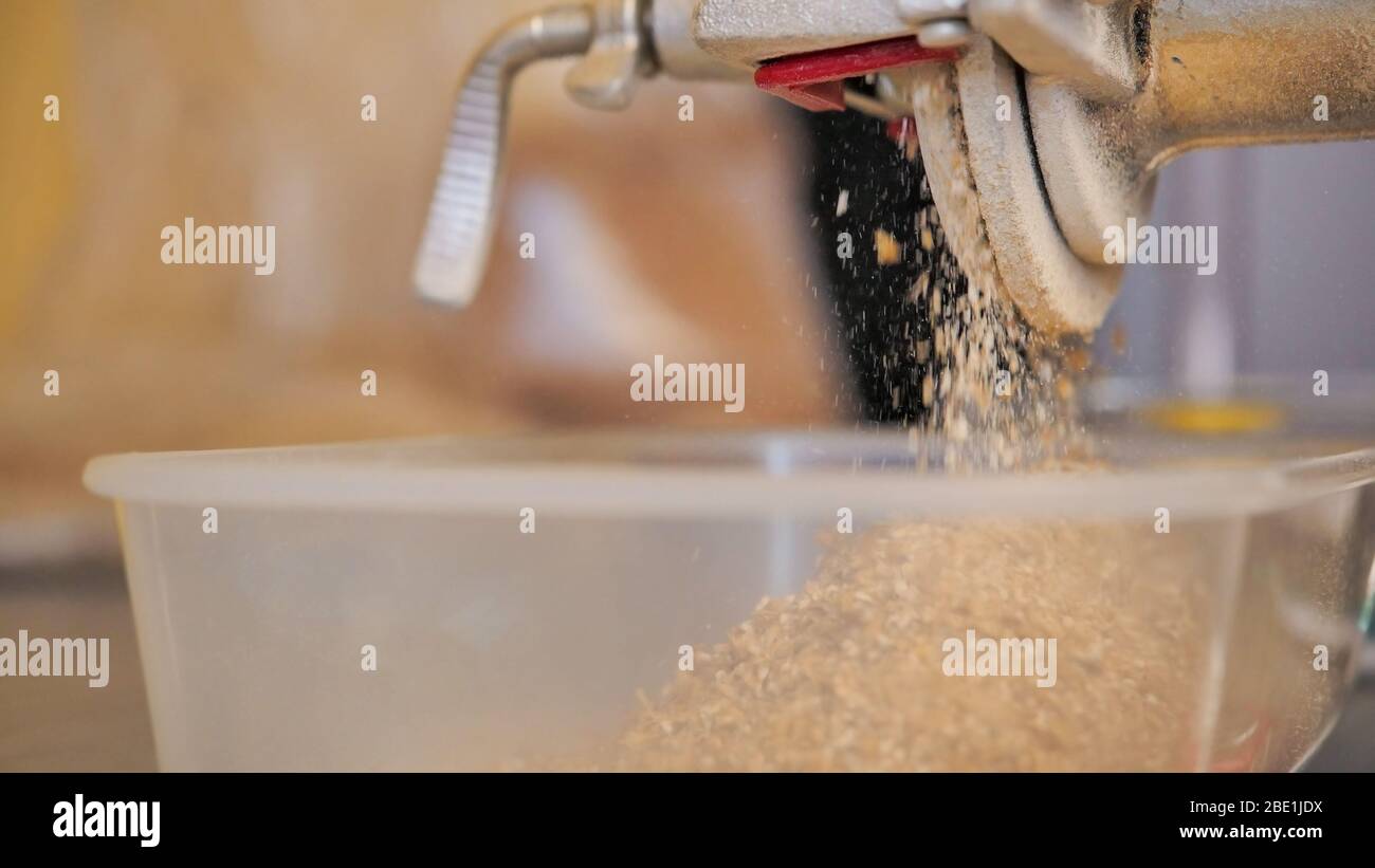 Crushing the malt using a mill, before mashing our beer, homebrewing ...