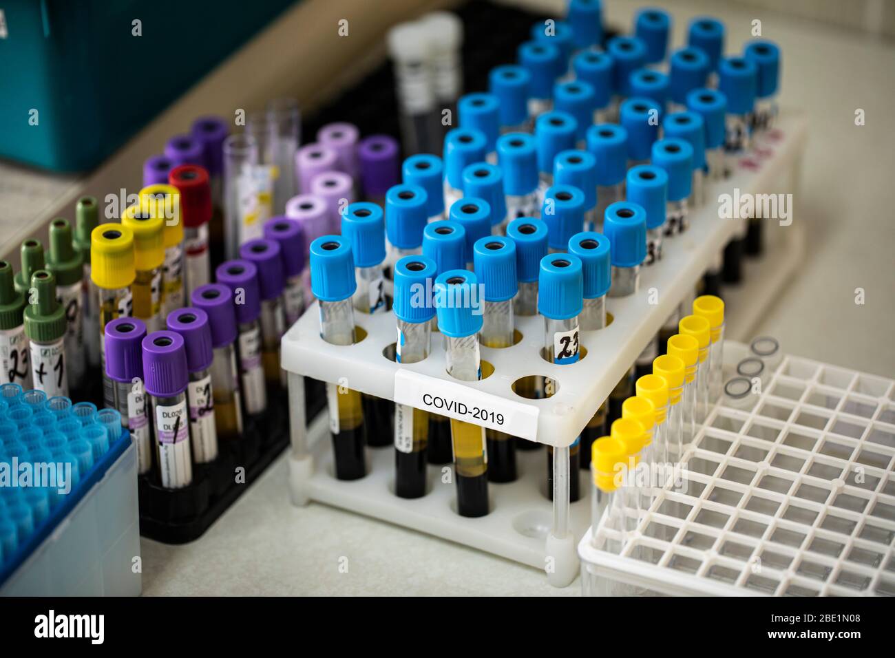 Sample holders hi-res stock photography and images - Alamy