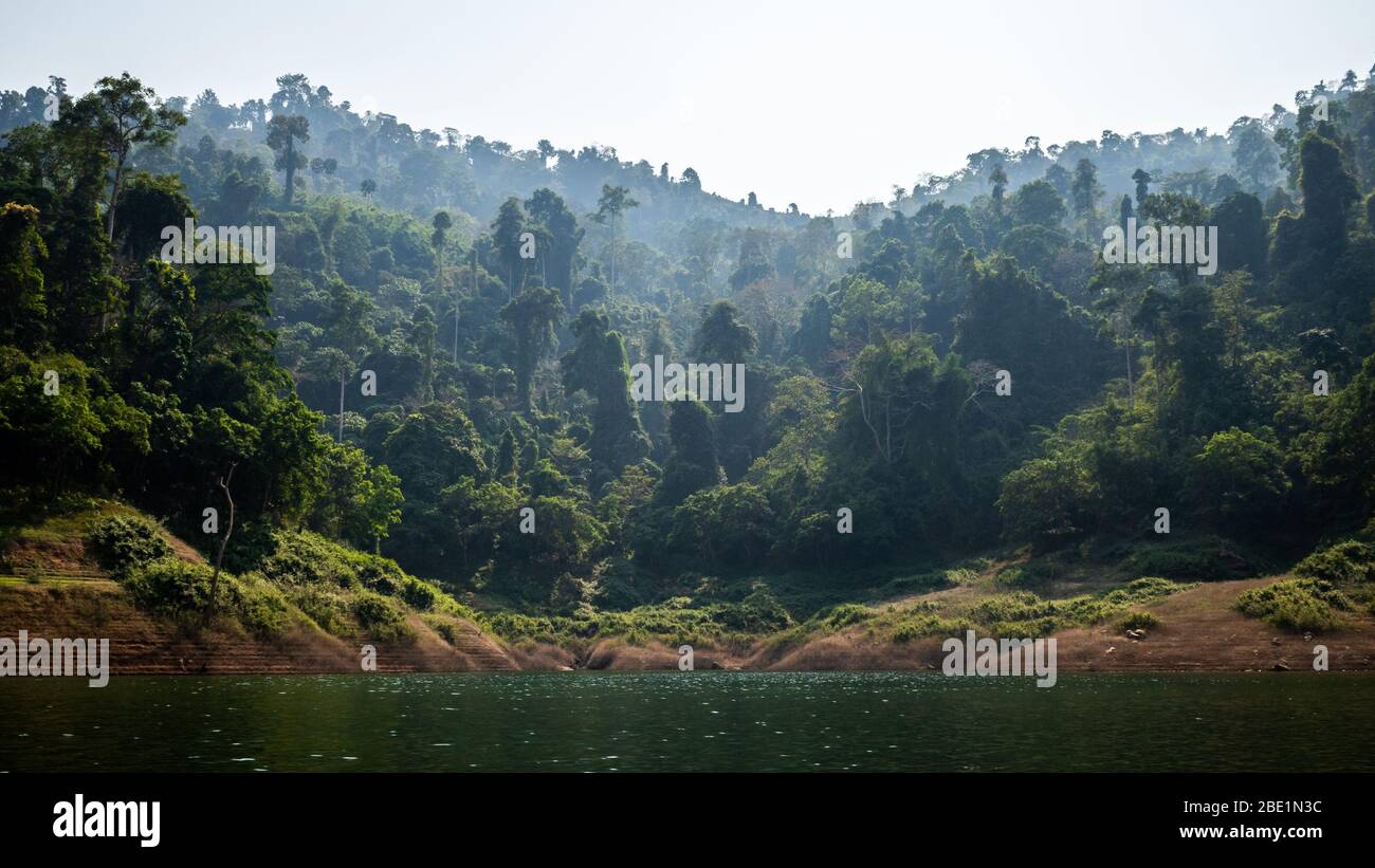 Landscape of tropical rainforest and lake river, haze cover green area ...