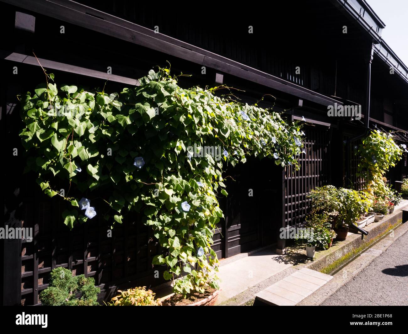 Traditional Japanese merchant house of Edo period Stock Photo - Alamy