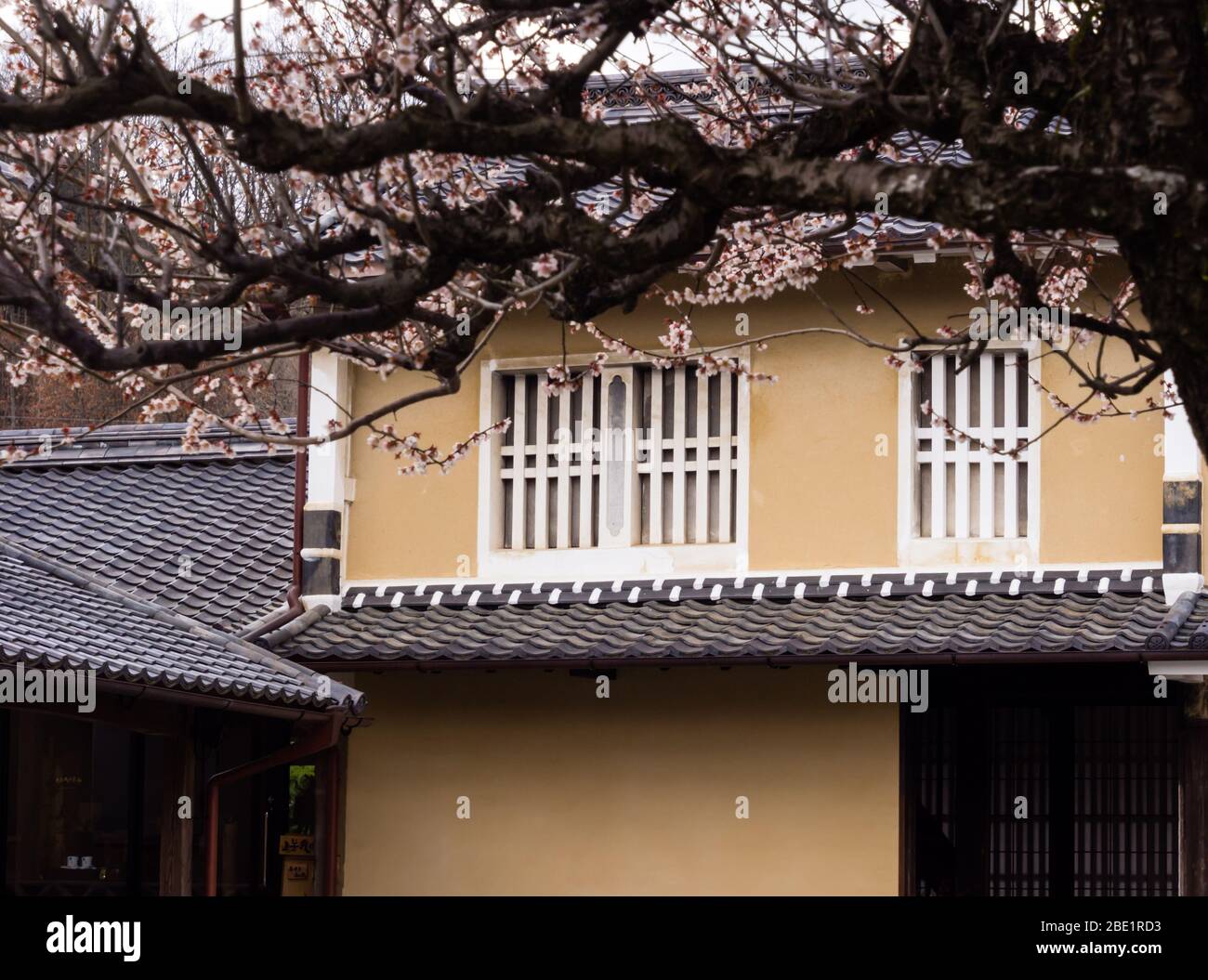 Detail of traditional Japanese merchant house in spring with cherry ...