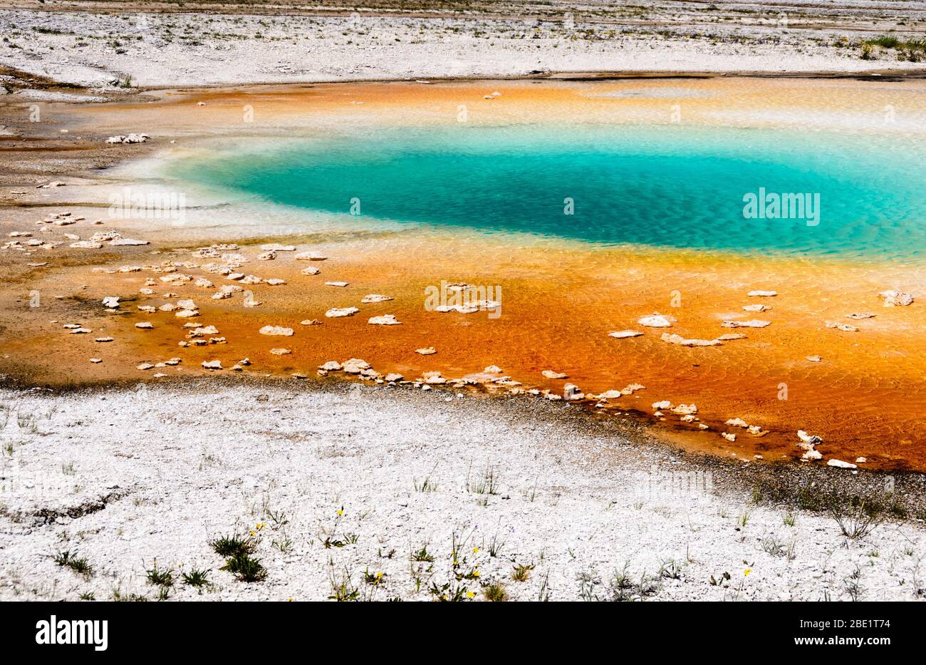 Colorful hot spring in Yellowstone national park Stock Photo - Alamy