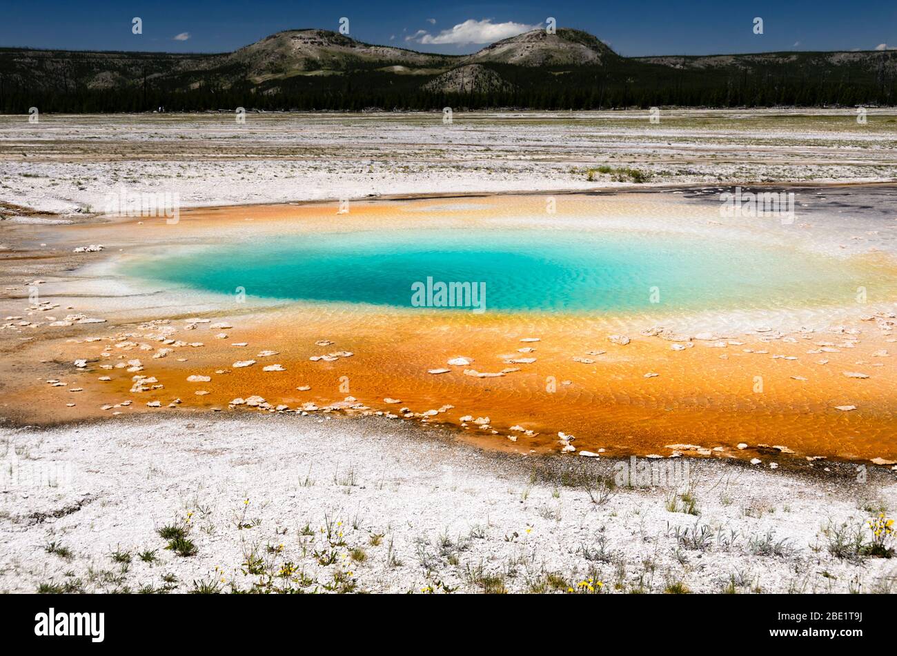 Hot spring in Yellowstone Stock Photo - Alamy