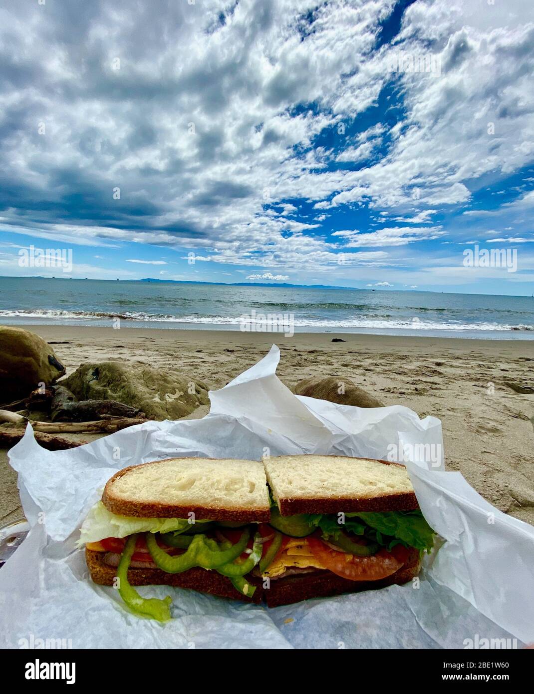 Montecito, California, USA. 10th Apr, 2020. Cure for the Coronavirus ...