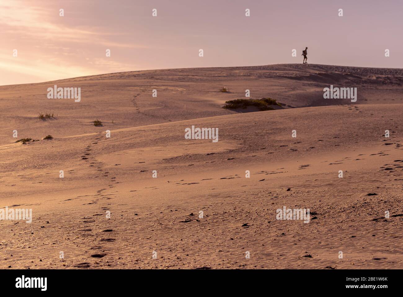 Walking along a desert trail hi-res stock photography and images - Alamy