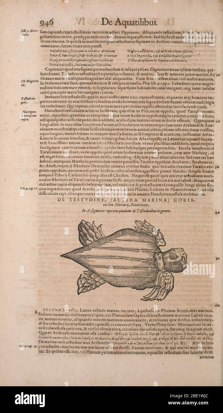 Historia animalium ("History of the Animals"), published in 1551–1558 ...