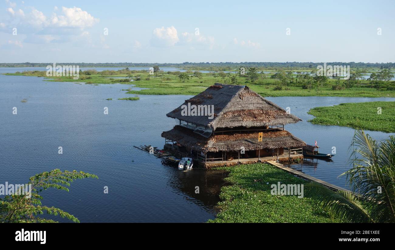 Rain forrest birds hi-res stock photography and images - Alamy