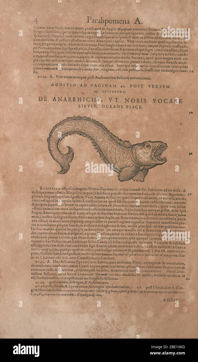 Historia animalium ("History of the Animals"), published in 1551–1558 ...