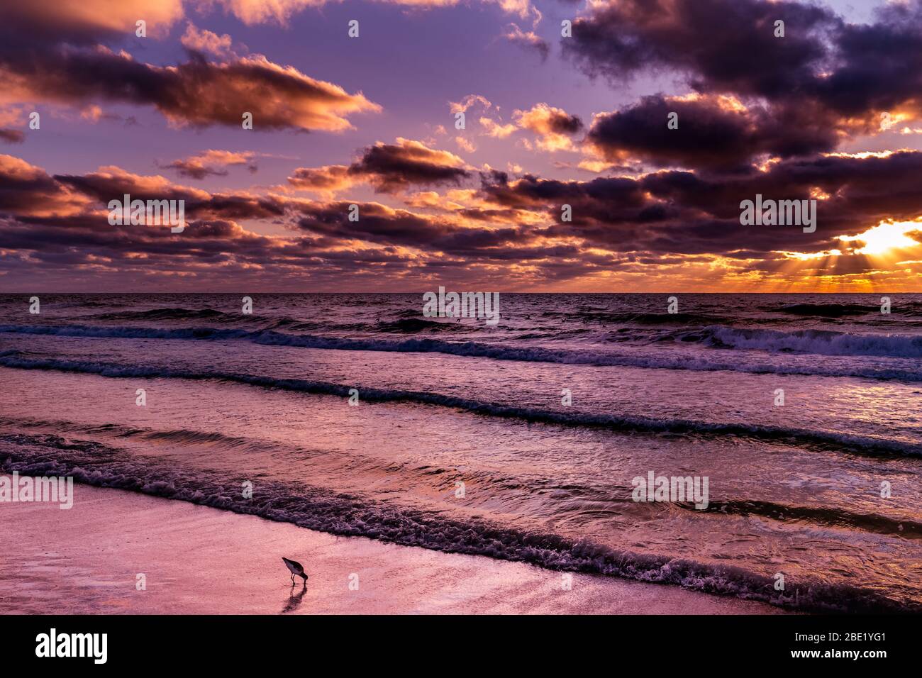 Sunset on a beach in Sarasota, Florida, usa Stock Photo - Alamy