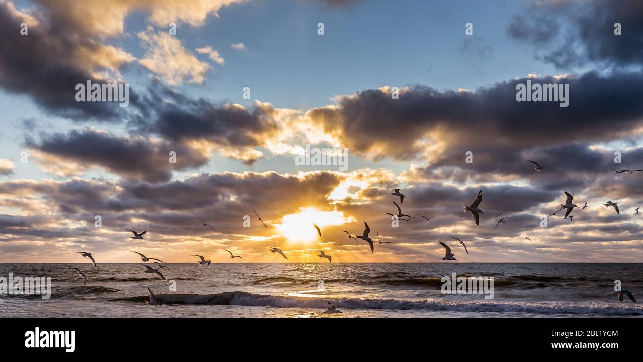 Sunset on a beach in Sarasota, Florida, usa Stock Photo - Alamy