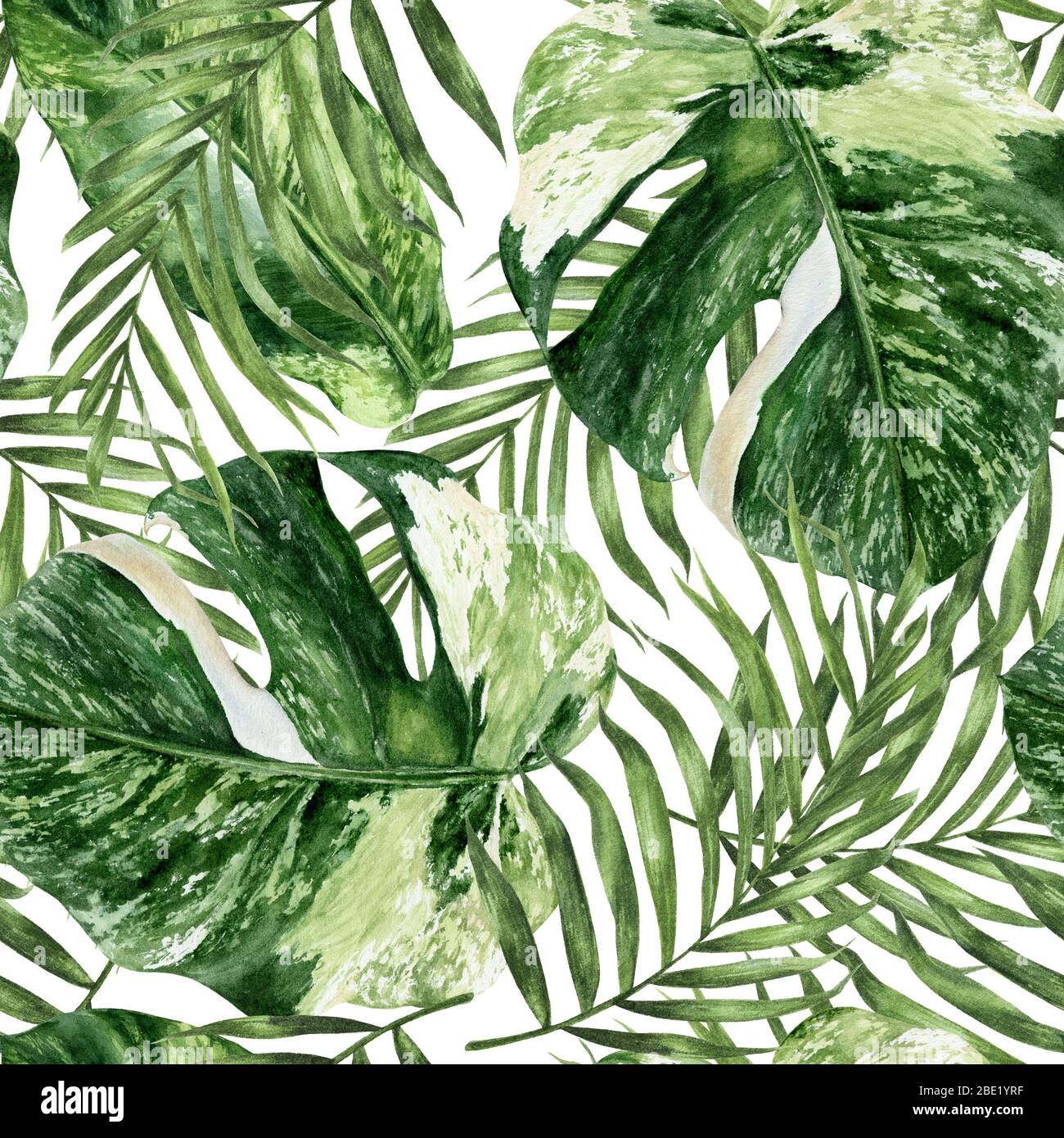 Tropical leaf hand drawn watercolor illustration. Seamless pattern ...