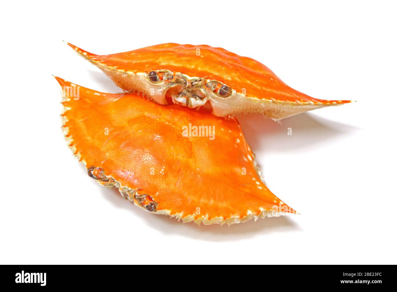 cooked crab, closeup of pictures on a white background Stock Photo - Alamy