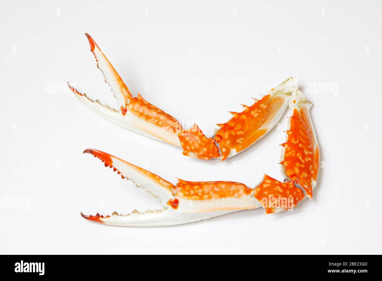 cooked crab, closeup of pictures on a white background Stock Photo - Alamy