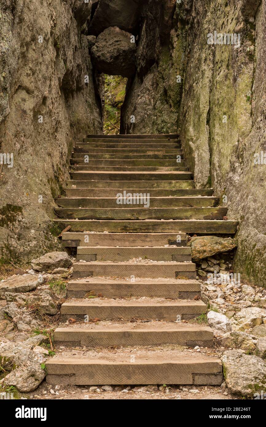 Wooden Steps On Nature Trail High Resolution Stock Photography and ...
