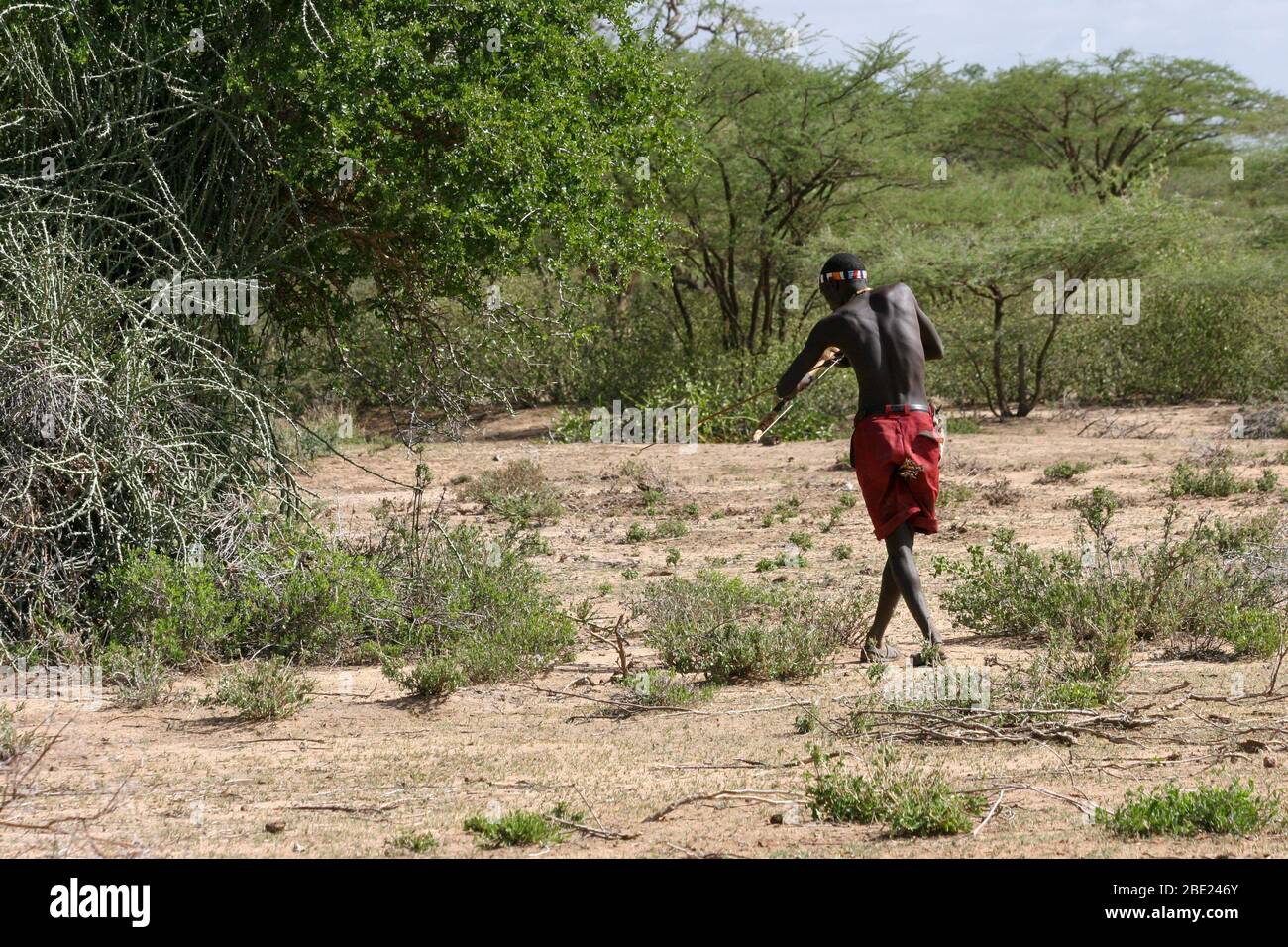 Hunters and gatherers hi-res stock photography and images - Alamy