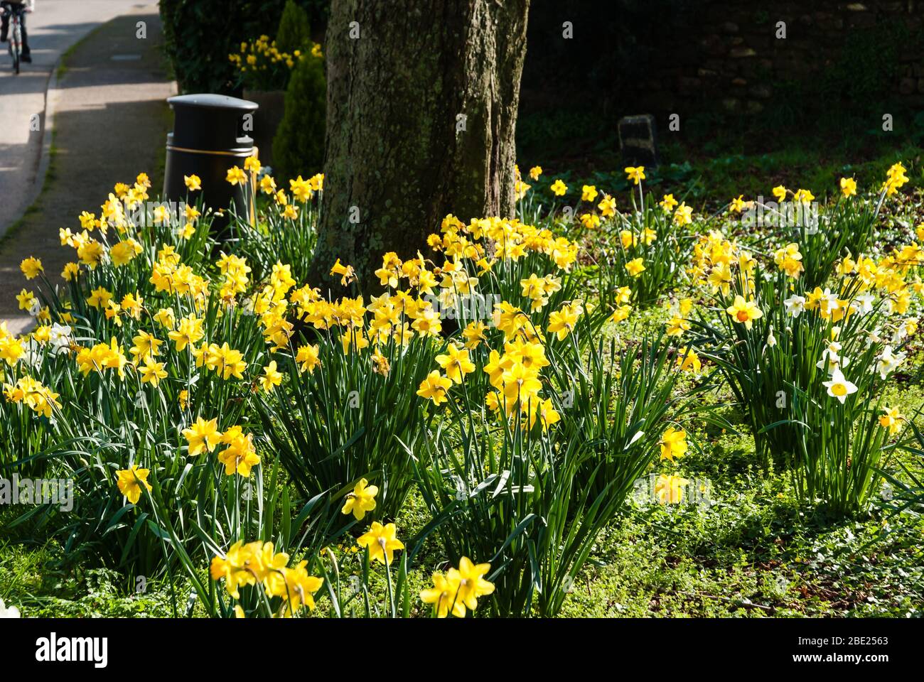 Great britain spring 2007 hi-res stock photography and images - Alamy