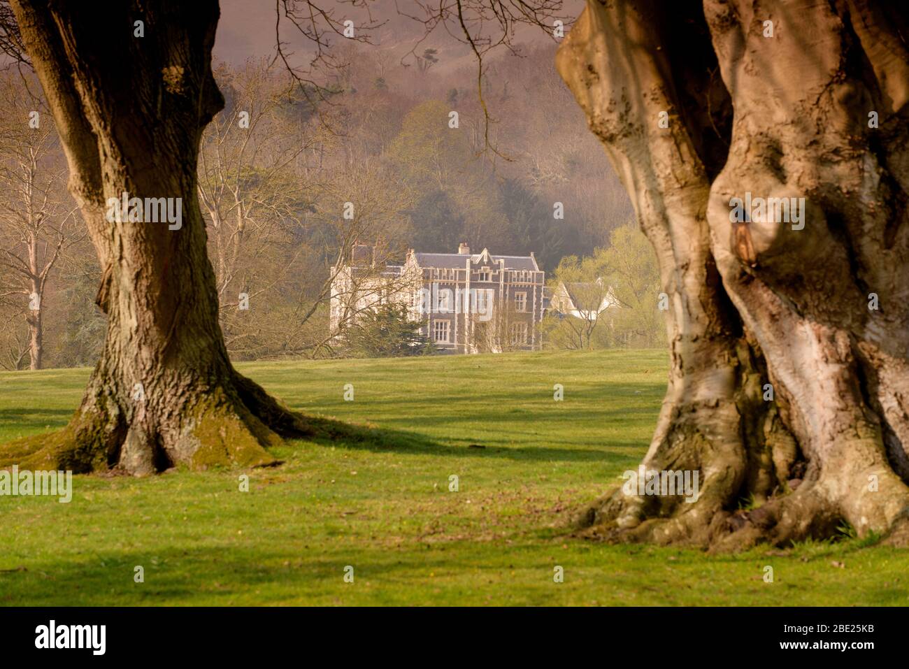 Wedding venue, home and function destination: Folkington Manor near ...