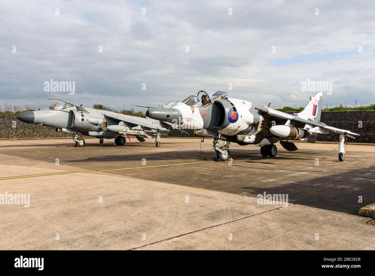 Fleet Air Arm Sea Harrier FA2 and Royal Air Force Bae Harrier GR3 in ...