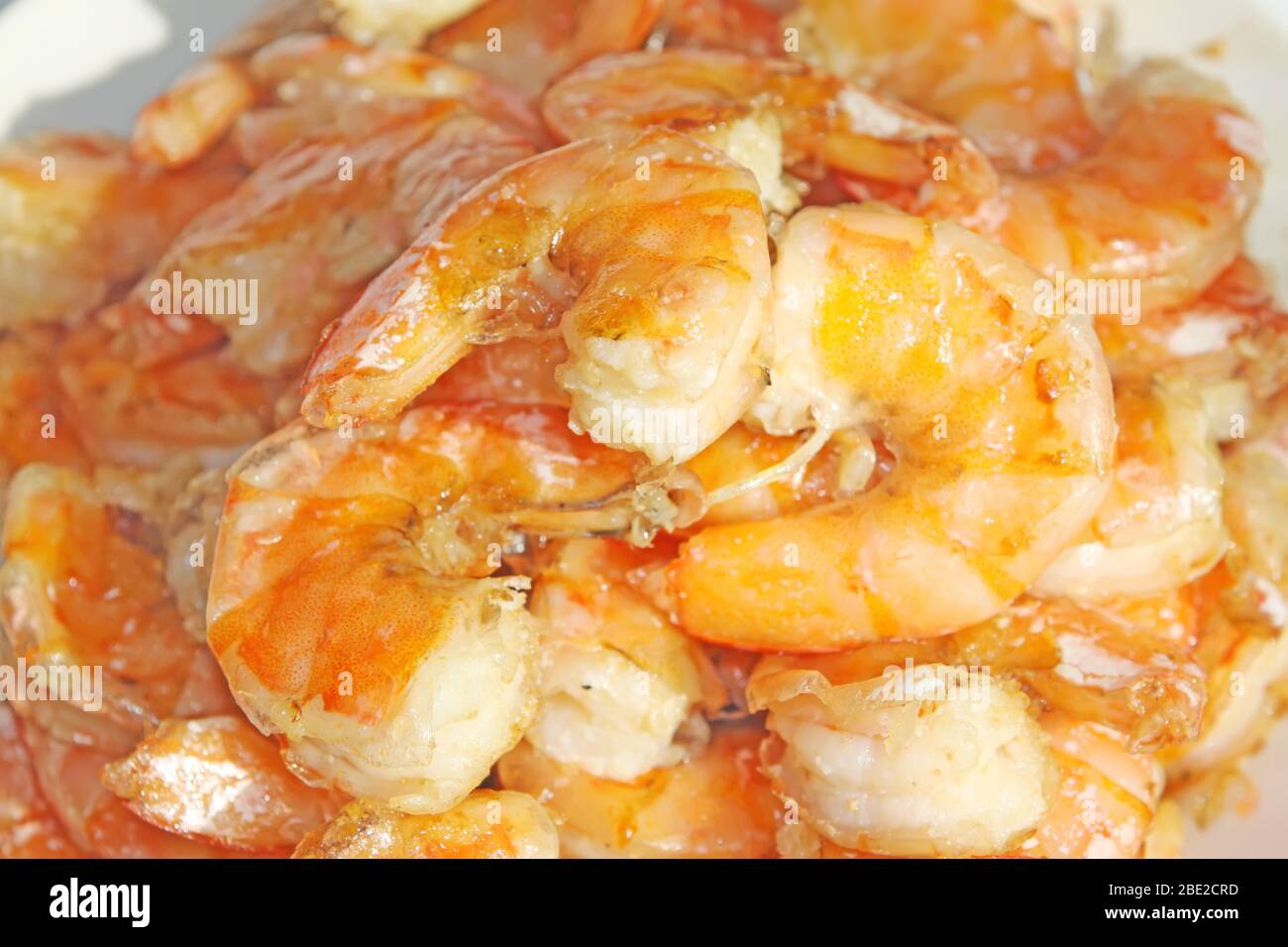 closeup of shrimp, north china, a kind of marine life Stock Photo - Alamy