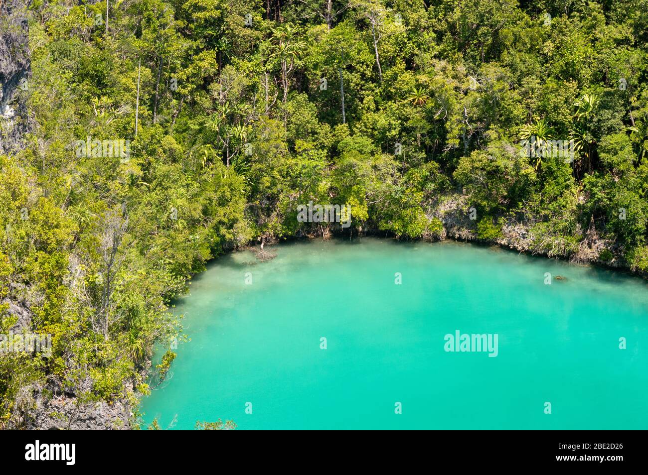 Piaynemo lagoon part of the Fam islands in Raja Ampat Stock Photo - Alamy