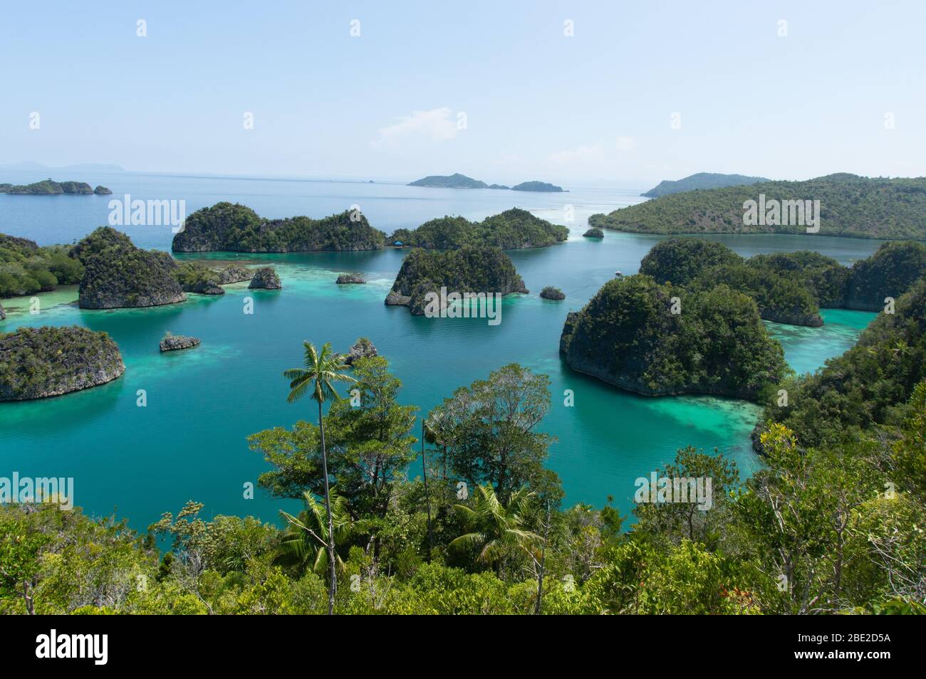 Piaynemo lagoon part of the Fam islands in Raja Ampat Stock Photo - Alamy